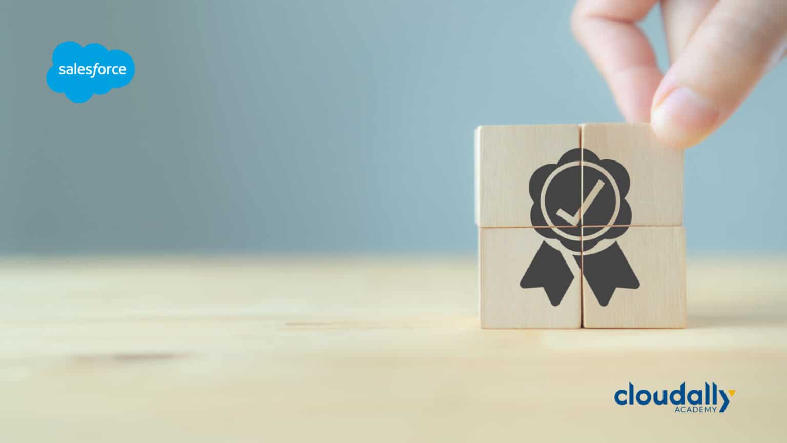 Becoming A Salesforce Technical Architect Training Certification Costs And Free Online